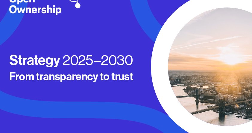 From transparency to trust: Our strategy for 2025 to 2030 ...